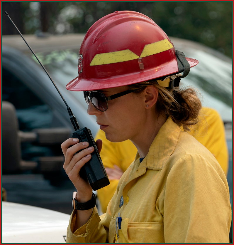 USFS should delegate aerial supervisors to fight wild fires?